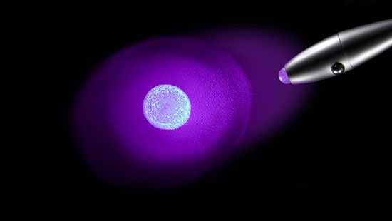 Environmental Monitoring Program | Ecolab