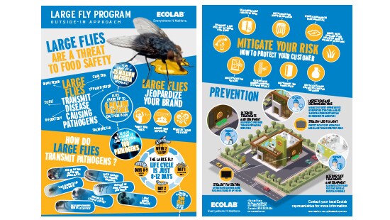 Large Flies | Ecolab