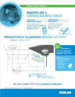 Rodent Ceiling Service | Ecolab
