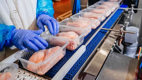 A New Framework for Salmonella Control | Ecolab